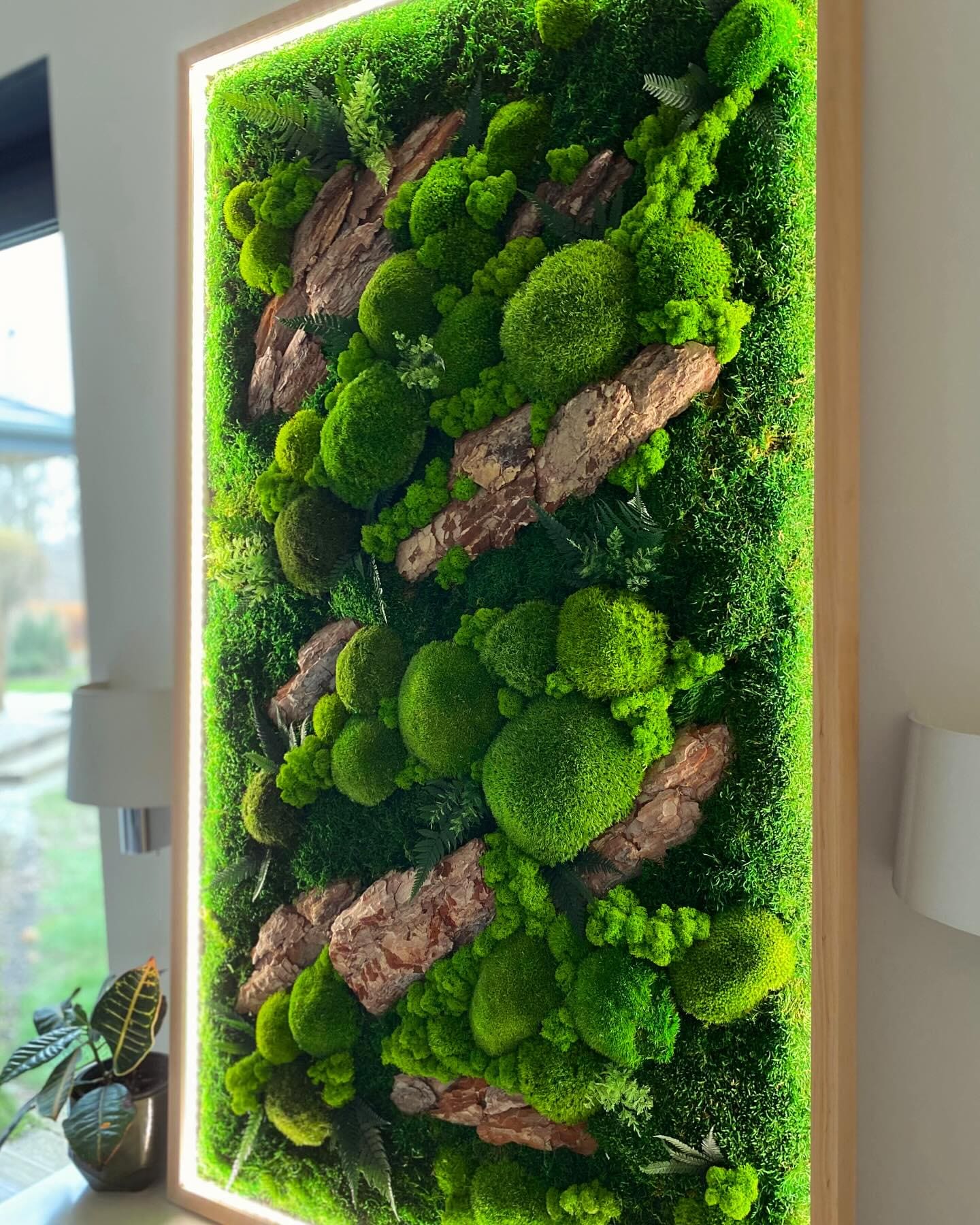 Preserved Moss Ceiling Panel With LED Lights | Eco-friendly Zero Care ...