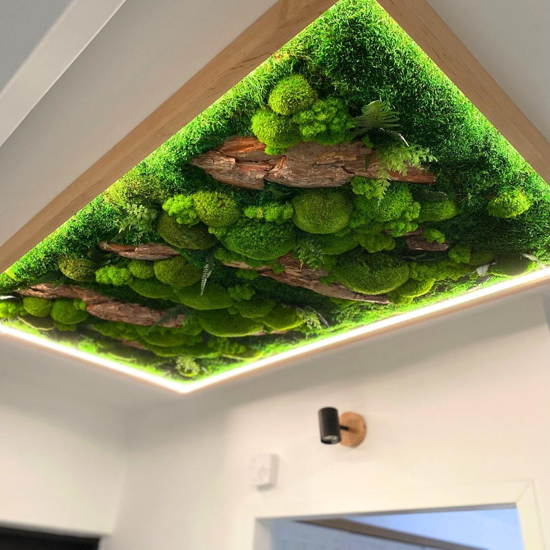 Preserved Moss Ceiling Panel With LED Lights | Eco-friendly Zero Care ...