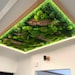 Preserved Moss Ceiling Panel With LED Lights | Eco-friendly Zero Care ...