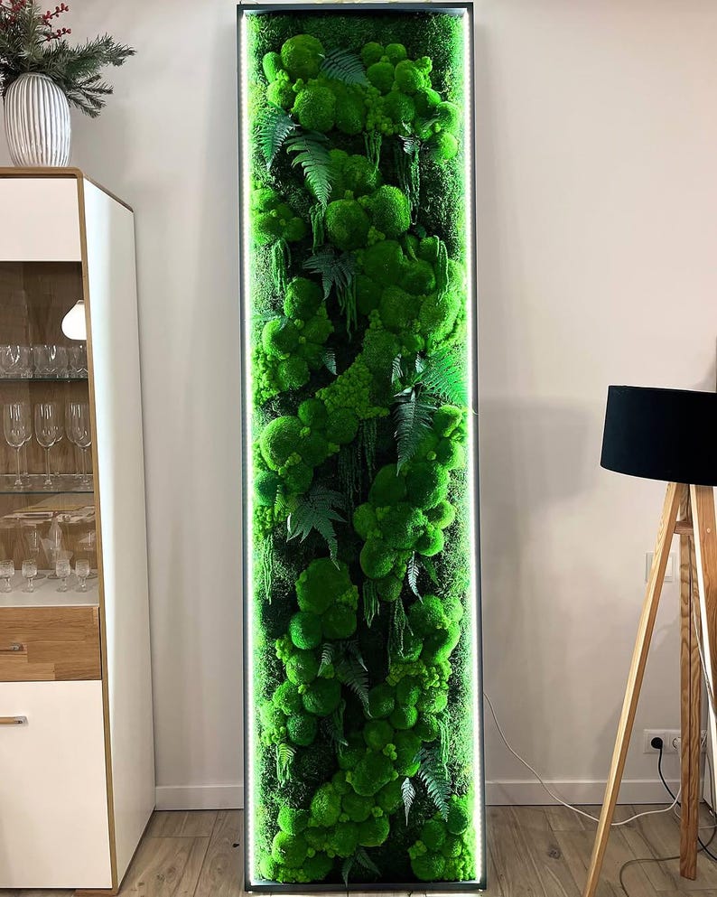Rainforest Preserved Moss Wall Art LED Frame – Illuminated Vertical ...