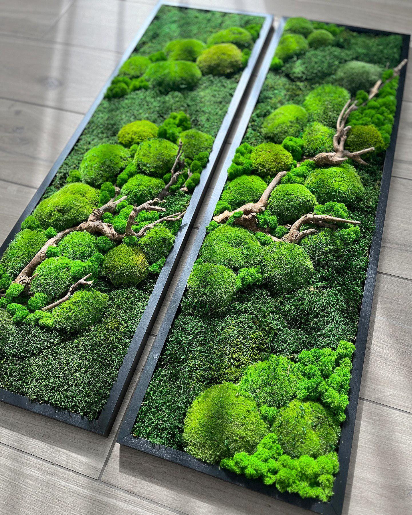 Luminous Reindeer Moss Wall Art With Branches | Custom Sizes, Wooden ...