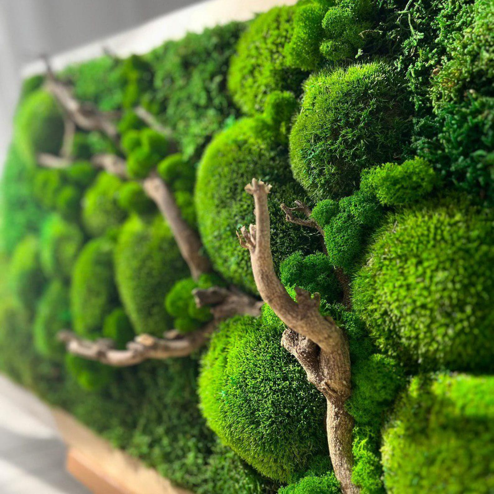 Luminous Reindeer Moss Wall Art With Branches Custom Sizes, Wooden ...