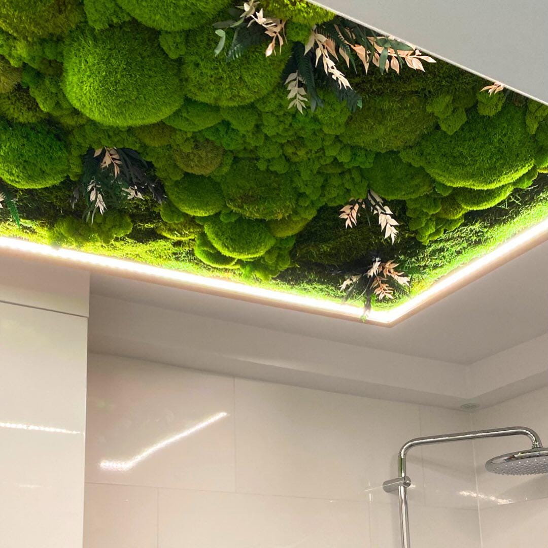 LED Moss Wall Art Mixed Mosses & Dried Flowers | Eco-friendly Wall ...