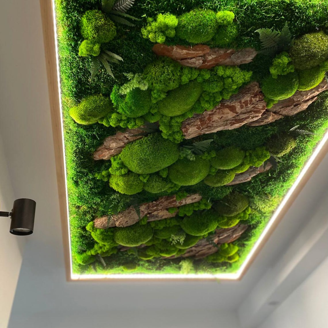 Preserved Moss Ceiling Panel With LED Lights | Eco-friendly Zero Care ...
