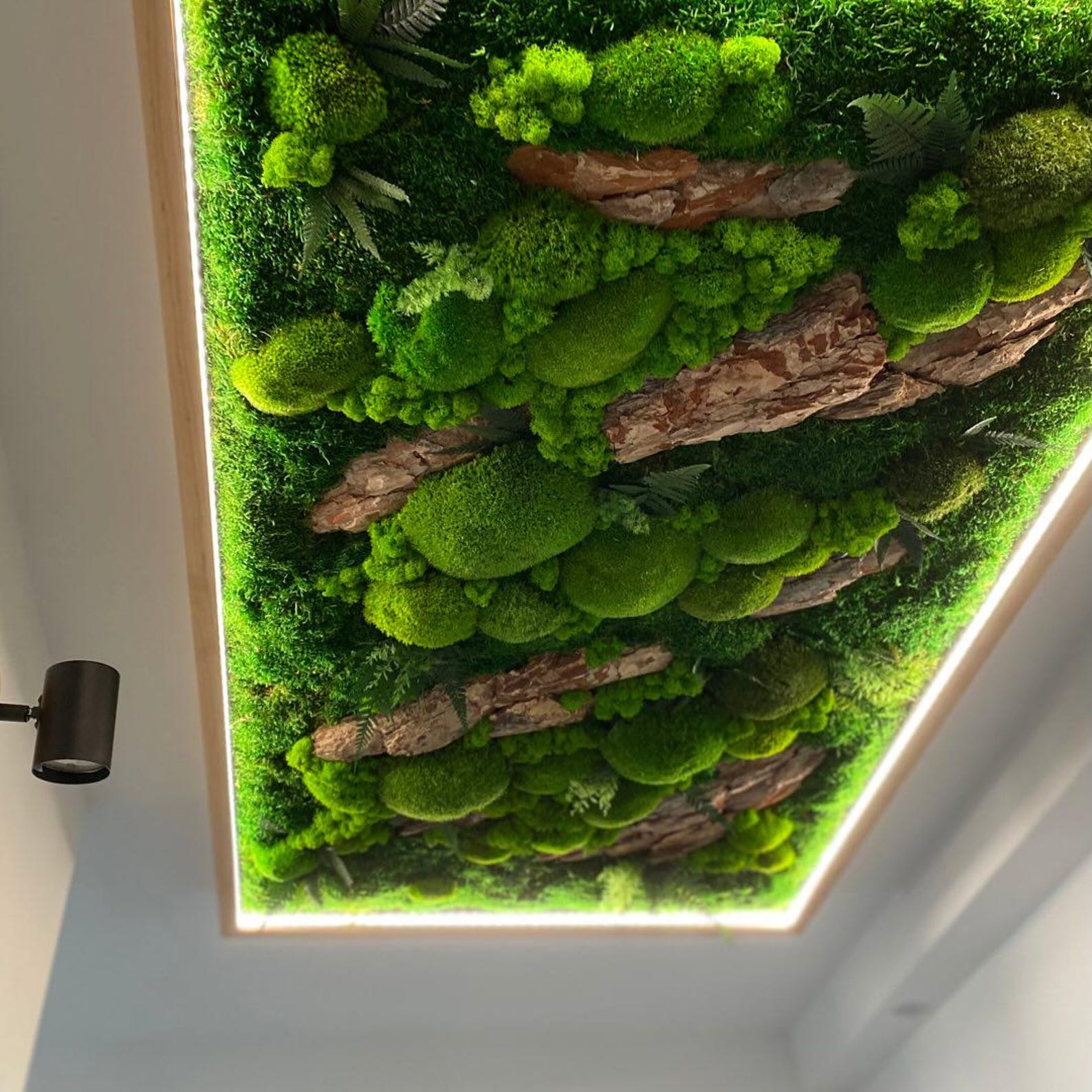 Preserved Moss Ceiling Panel With LED Lights | Eco-friendly Zero Care ...