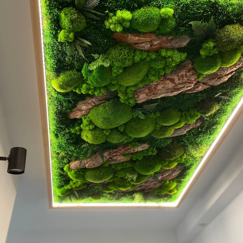 Preserved Moss Ceiling Panel With LED Lights | Eco-friendly Zero Care ...