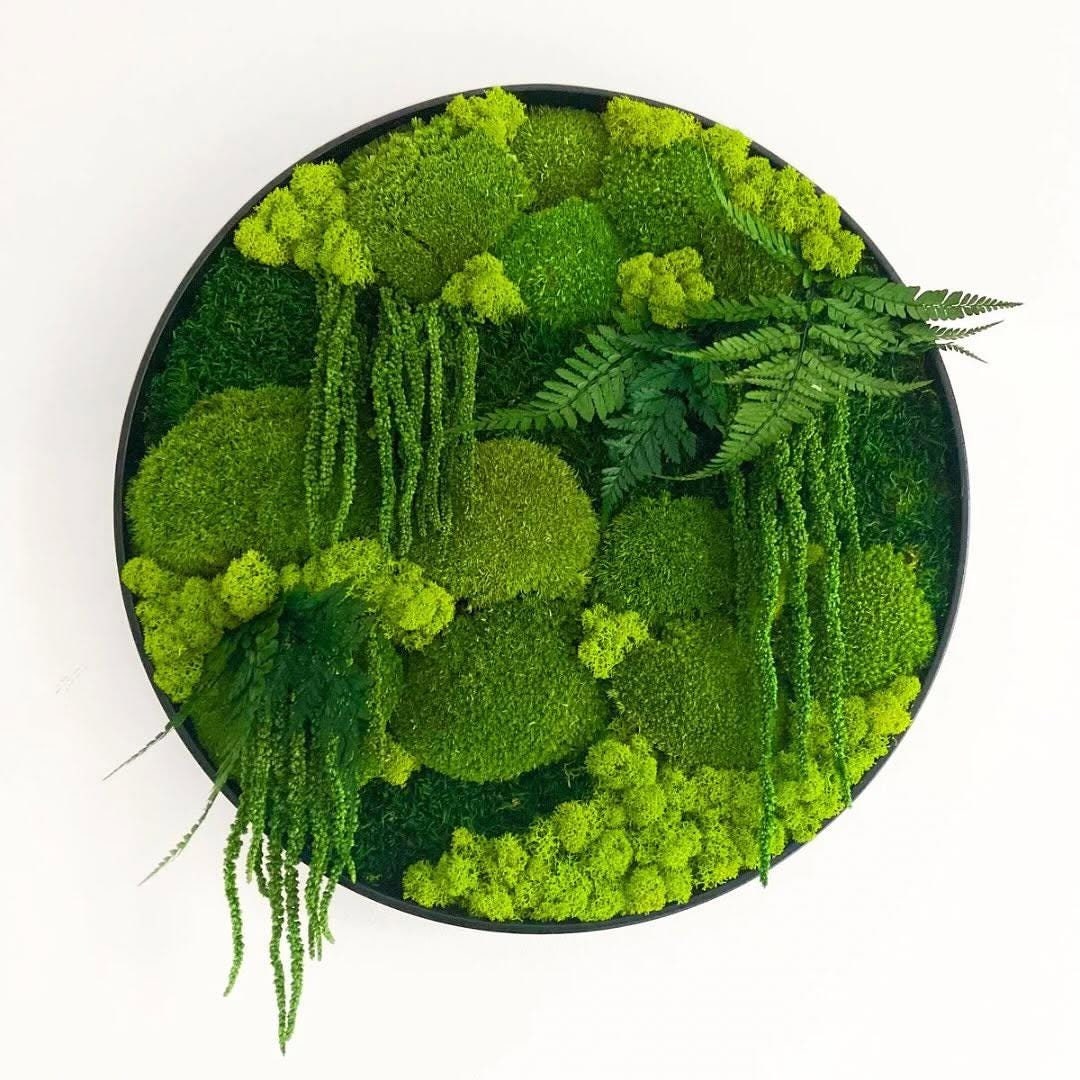 Round Preserved Moss Wall Art – Circular Nature-inspired Vertical ...