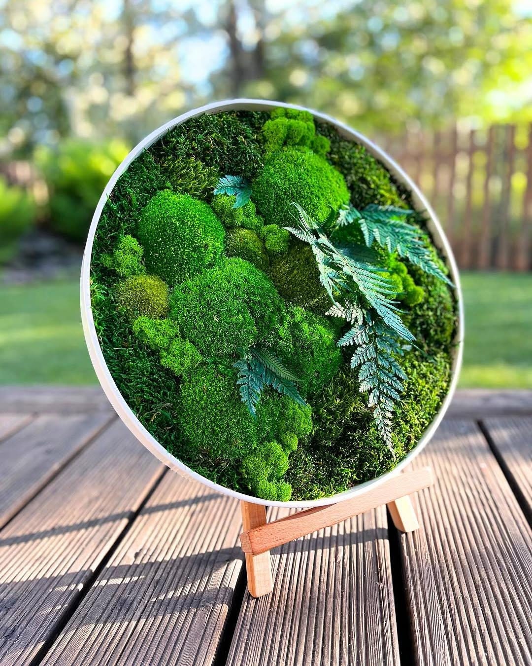 Round Preserved Moss Wall Art – Mixed Moss & Ferns – Circular Vertical ...