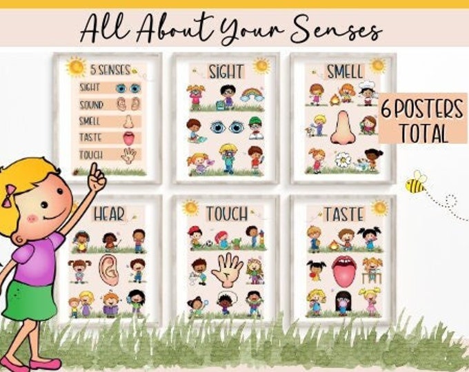 5 Senses Traditional Chinese Kids 我的五感 Science Five Senses Print ...