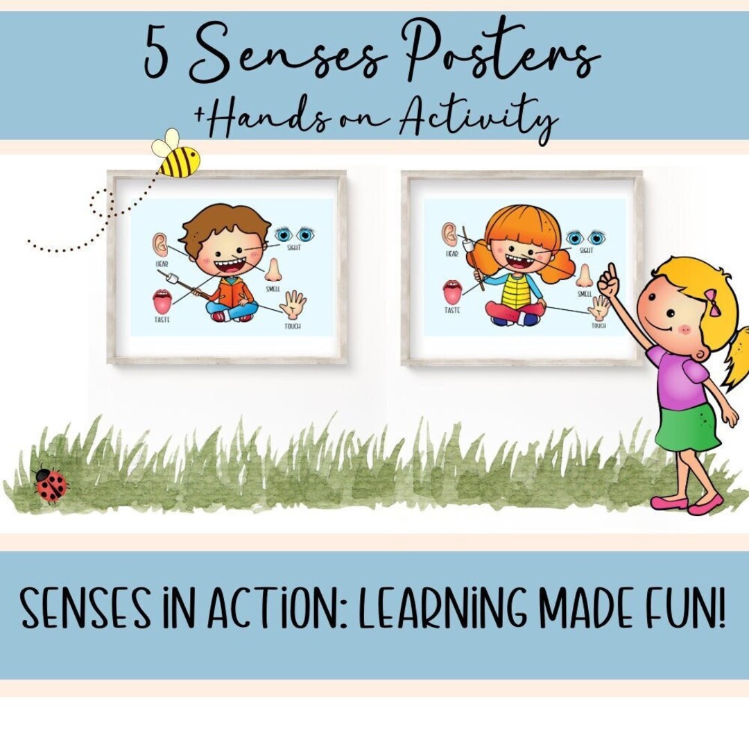 5 Senses Posters Hands on Activity Light Skin 5 Senses Sorting Five ...
