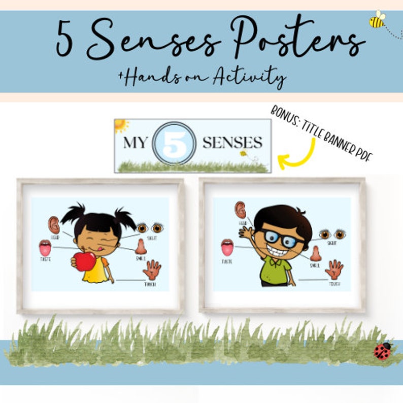5 Senses Posters Hands on Activity Darker Skin 5 Senses Sorting Five ...