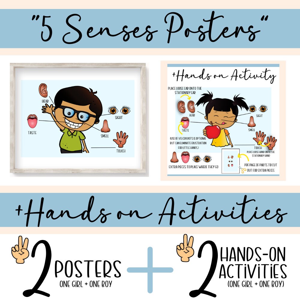 5 Senses Posters Hands on Activity Darker Skin 5 Senses Sorting Five ...