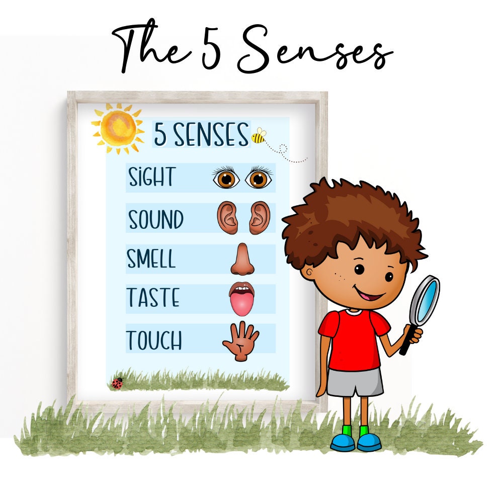 All About Your Senses Poster Dark 5 Senses Sorting Educational ...
