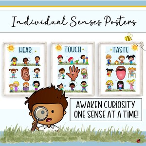 All About Your Senses Poster Dark 5 Senses Sorting Educational ...