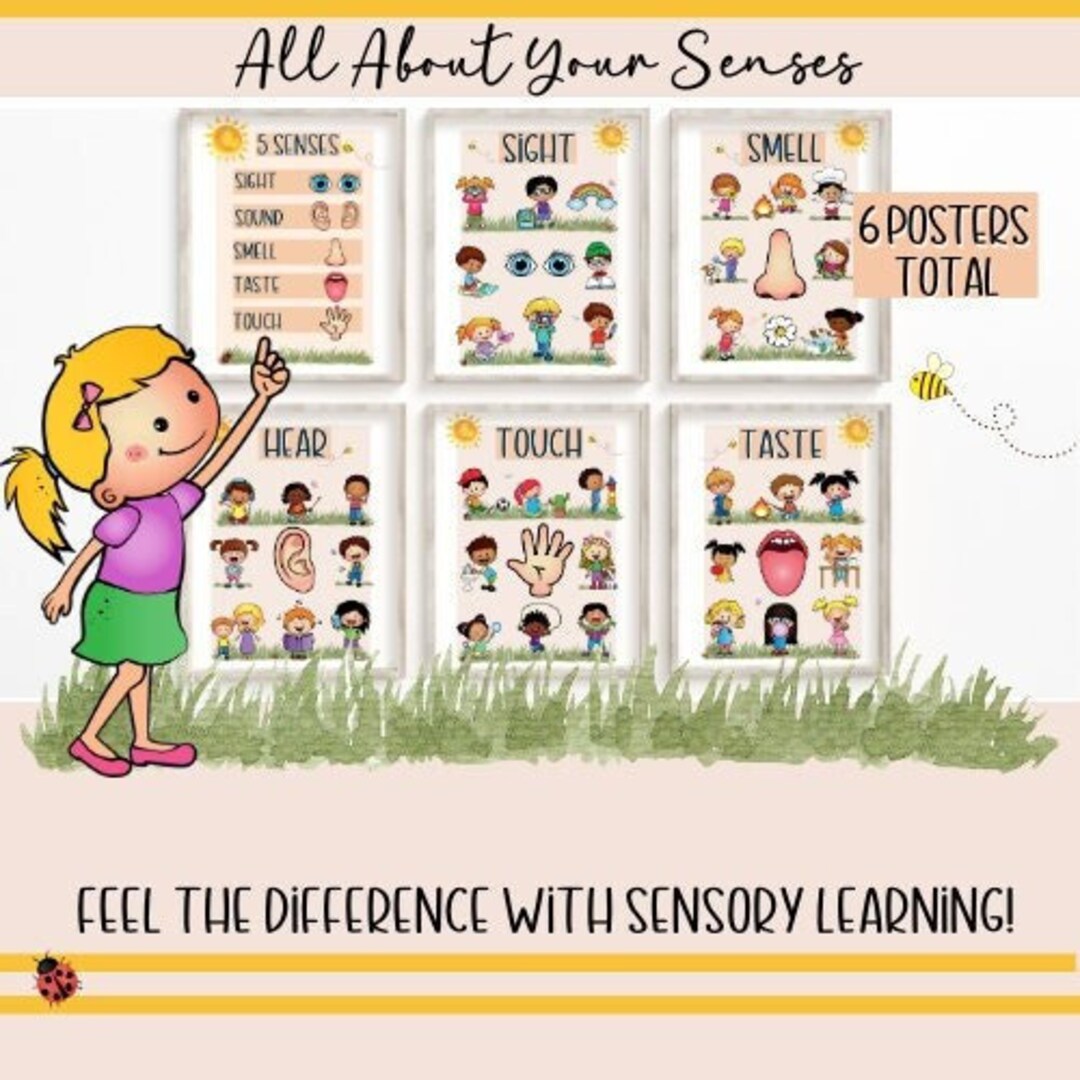 All About Your Senses Poster Light 5 Senses Sorting Educational ...