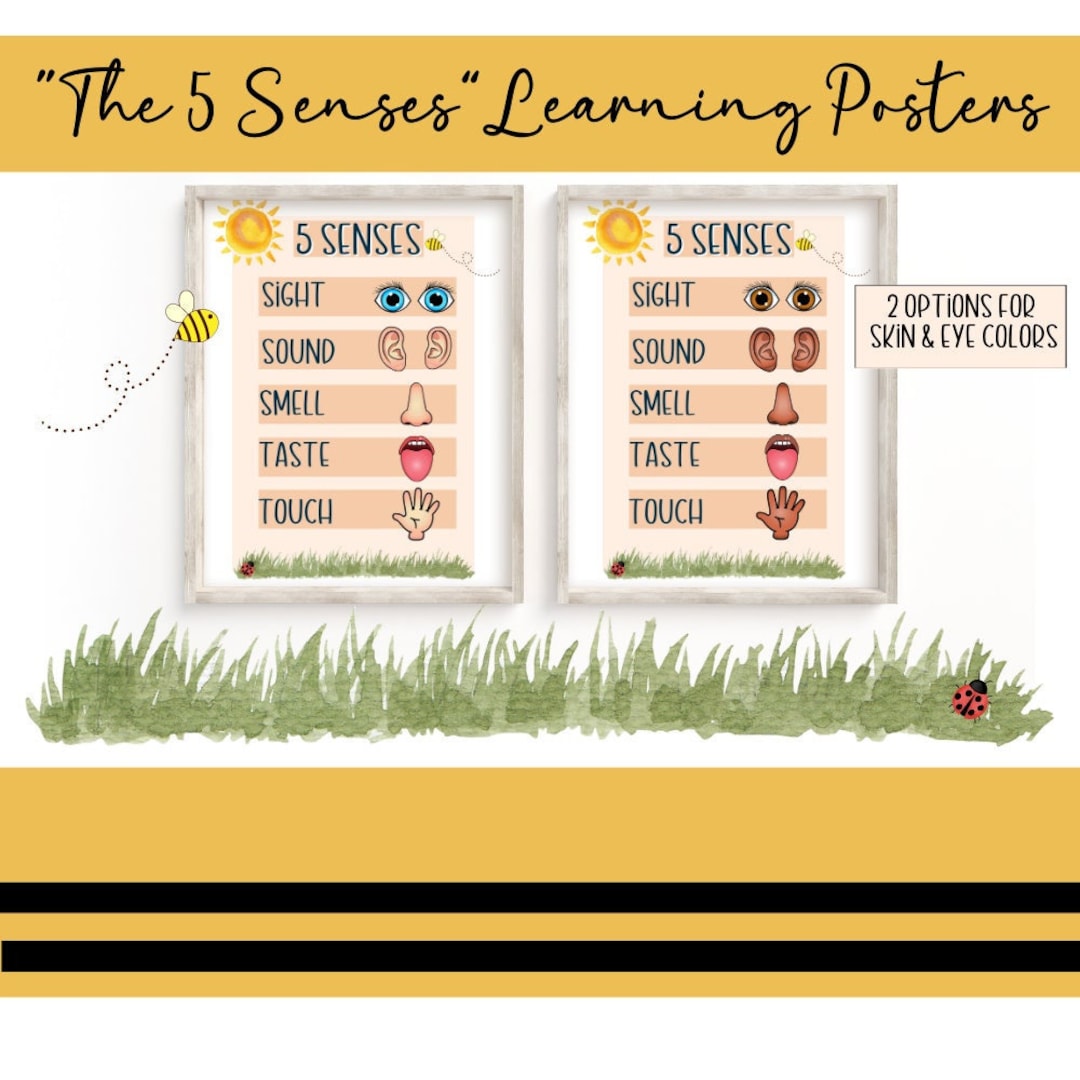 The Five Senses Print Blue Five Senses Activity Educational Resources 5 ...