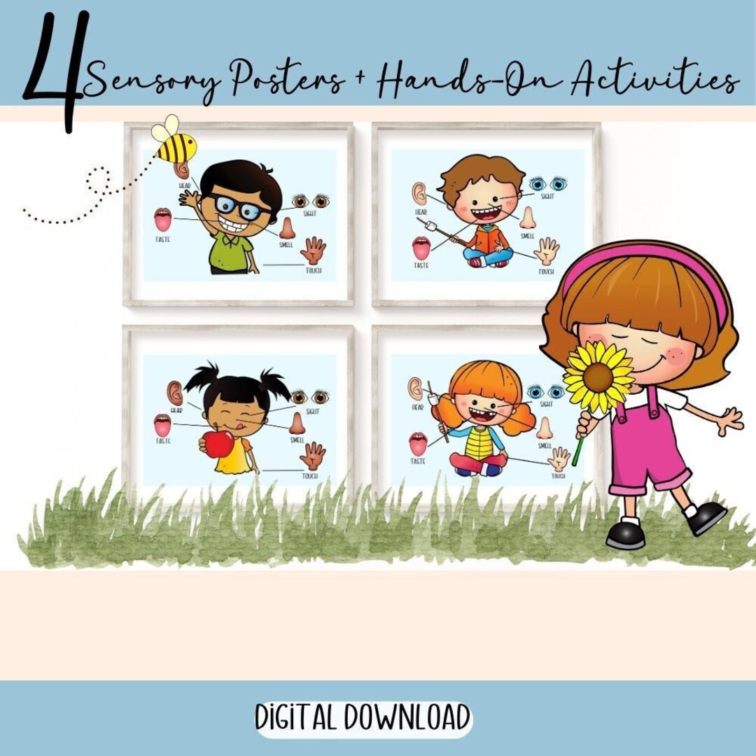 Sensory Posters Hands on Activities Five Senses Sorting Activity 5 ...
