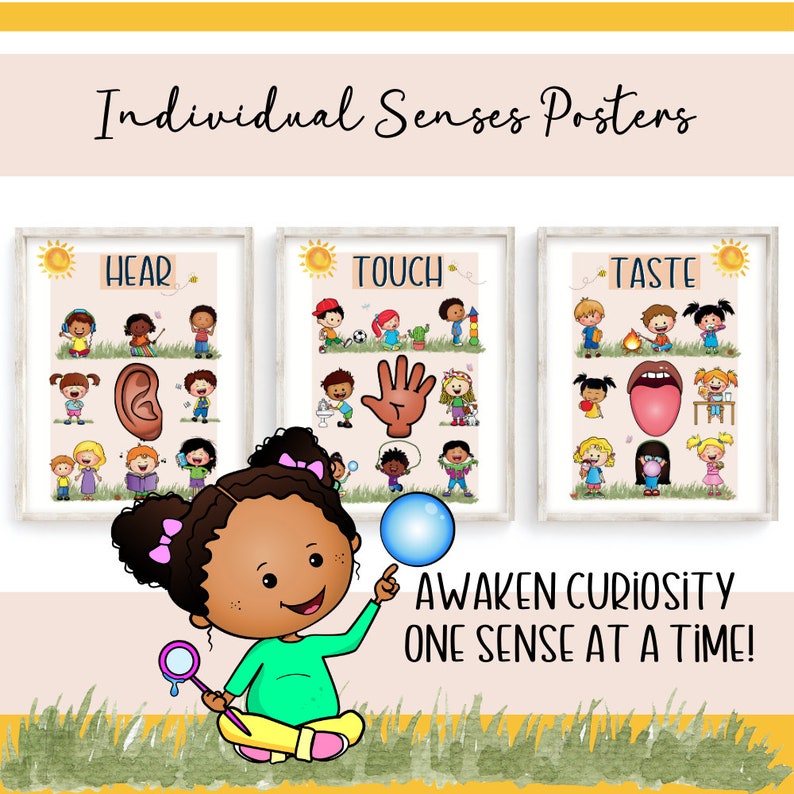 All About Your Senses Poster Dark 5 Senses Sorting Educational ...