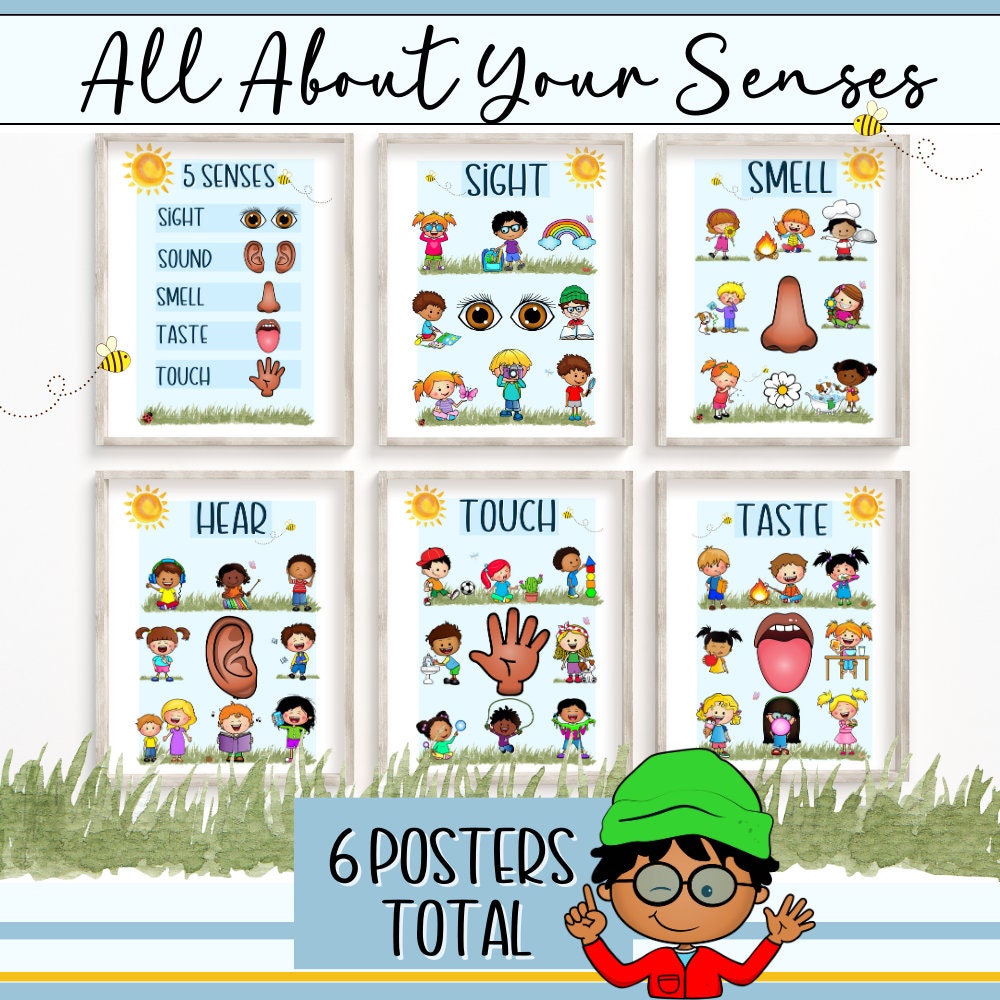 All About Your Senses Poster Dark 5 Senses Sorting Educational ...