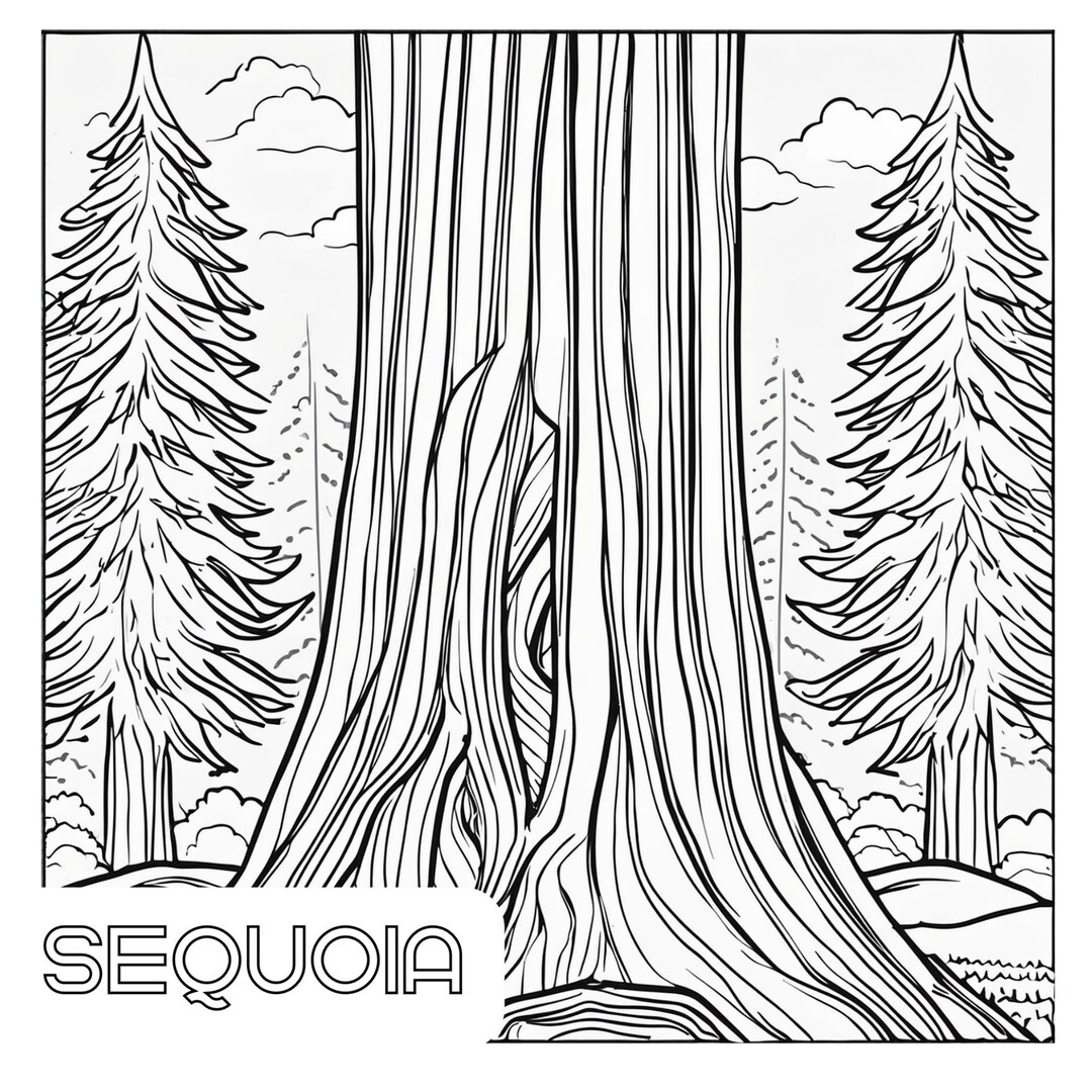 National Park Coloring Page - Sequoia - Etsy