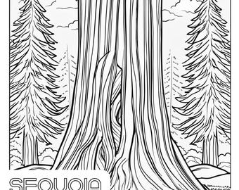 Yosemite National Park Coloring Page - Etsy