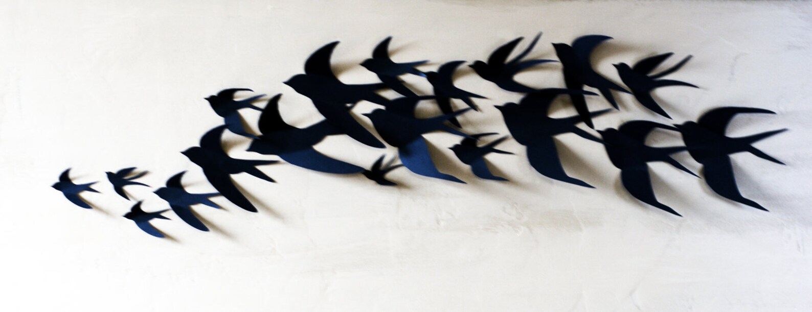 20 3D Bird Wall Art - Etsy