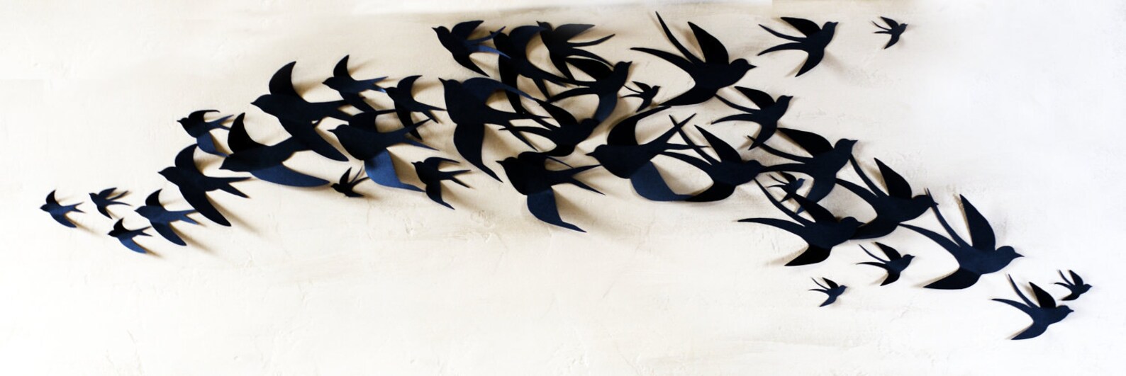 100 3D Bird Wall Art Circle Burst - Etsy