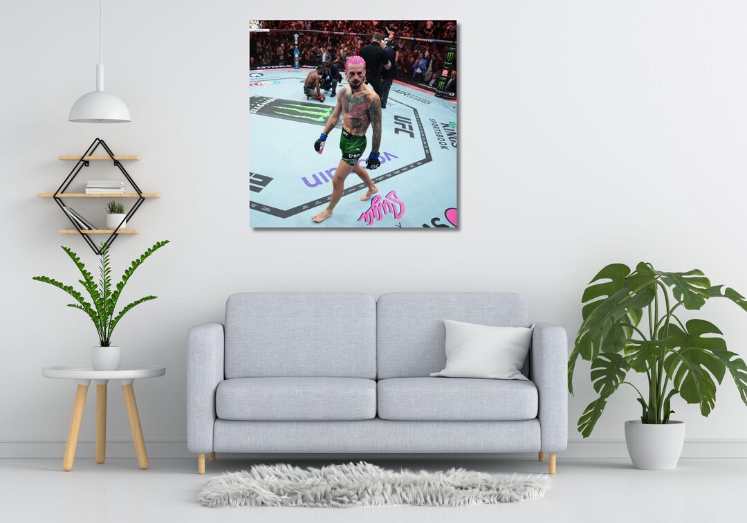 Suga Sean O'malley KO Canvas Print, UFC Living Room Wall Art - Etsy