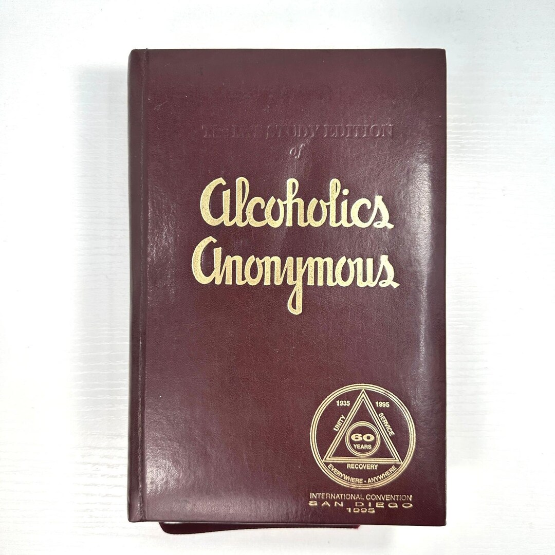 VTG Alcoholics Anonymous AA IWS Big Book Study Edition San Diego 1995 ...