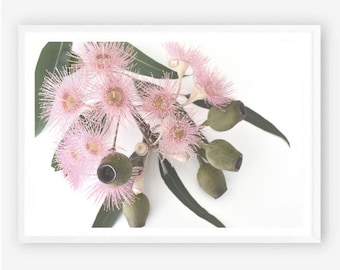 Gum Leaves Print, Gum Leaf Print, Australian Native Print, Australiana ...