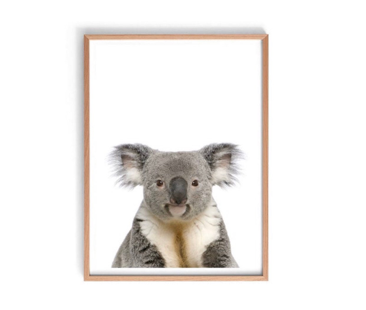 Koala Print, Australia Wildlife Print, Koala Wall Art Print, Australian ...