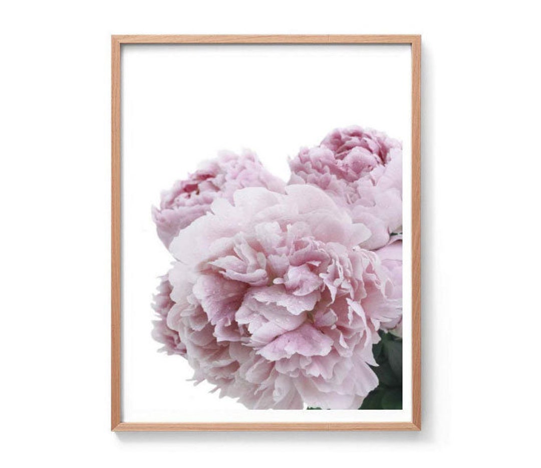 Peony Print, Peonies Print, Peony Flower Print, Floral Print, Peony Art ...