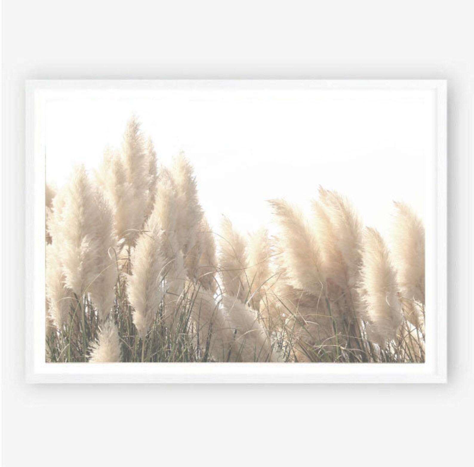 Pampas Grass Print Pampas Grass Art Print Pampas Photography - Etsy