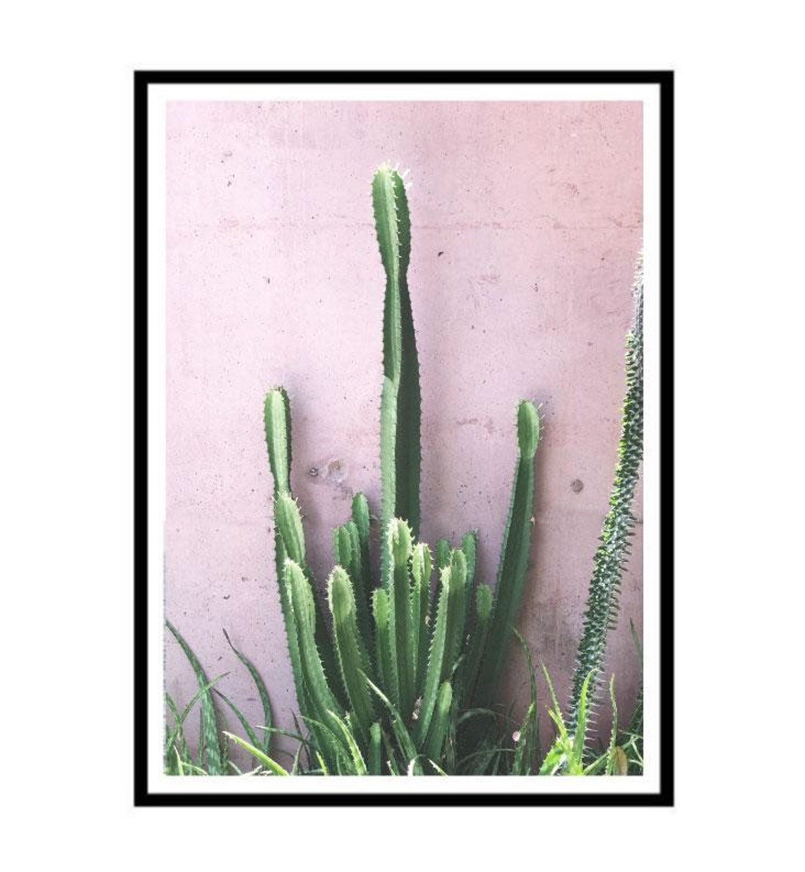 Cactus Print Cactus Photography Plant Prints Botanical - Etsy Australia