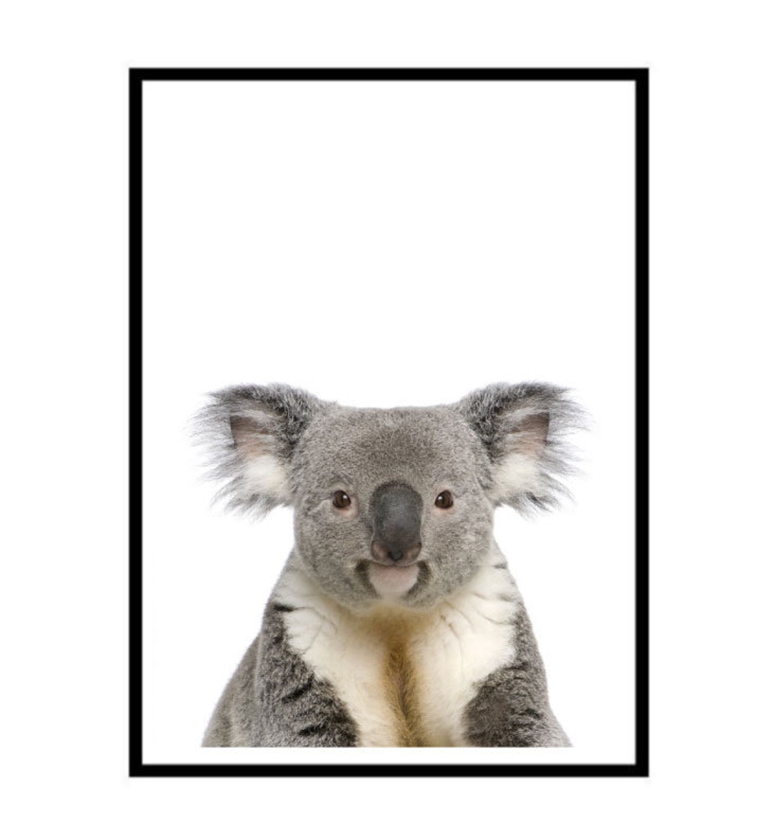Koala Print, Australia Wildlife Print, Koala Wall Art Print, Australian ...