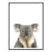 Koala Print, Australia Wildlife Print, Koala Wall Art Print, Australian ...