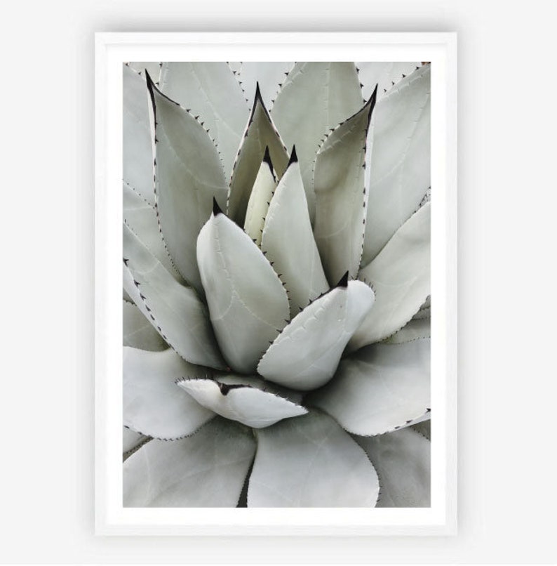 Agave Print, Plant Photography Print, Green Agave Poster Print ...