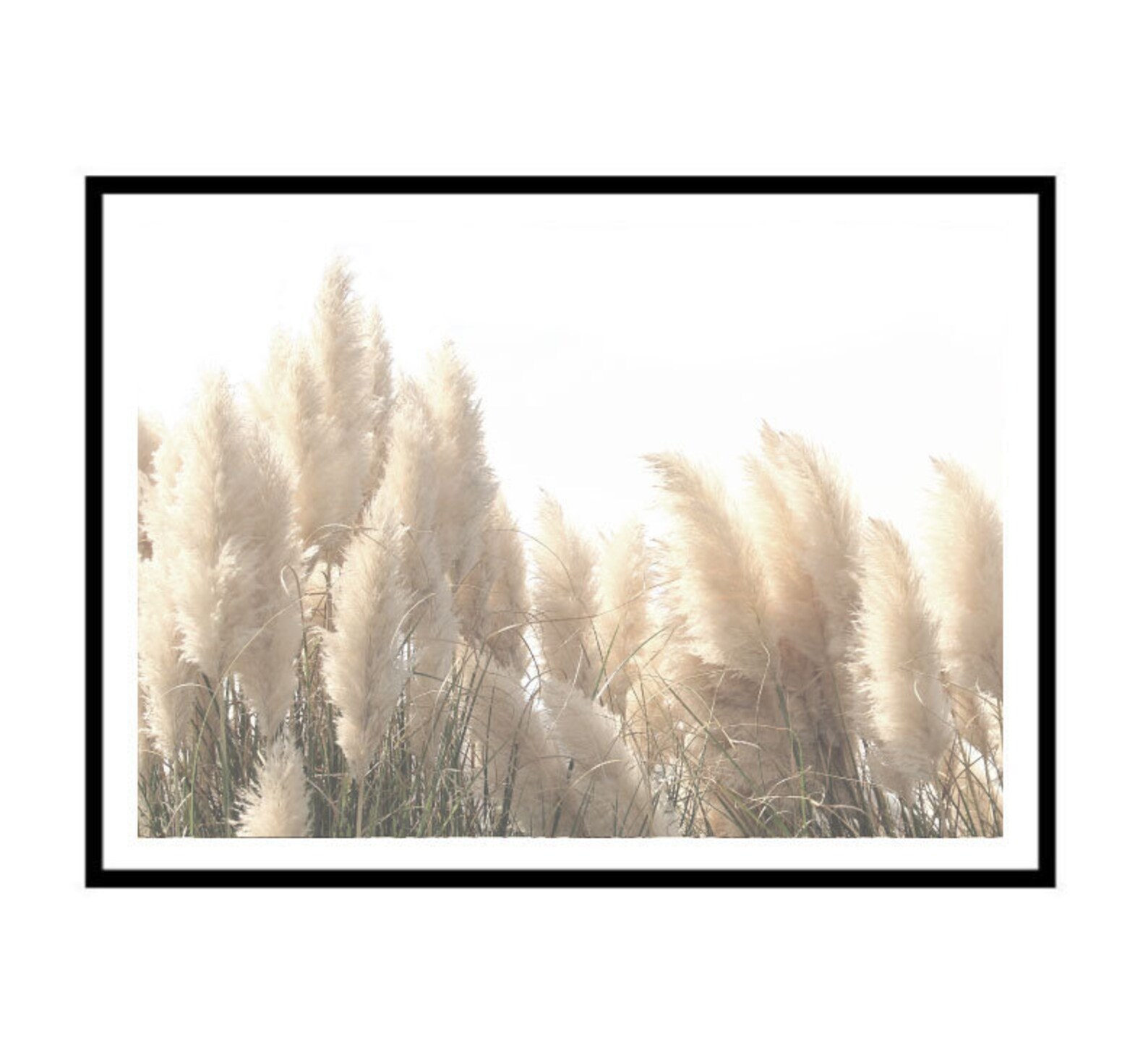 Pampas Grass Print Pampas Grass Art Print Pampas Photography - Etsy