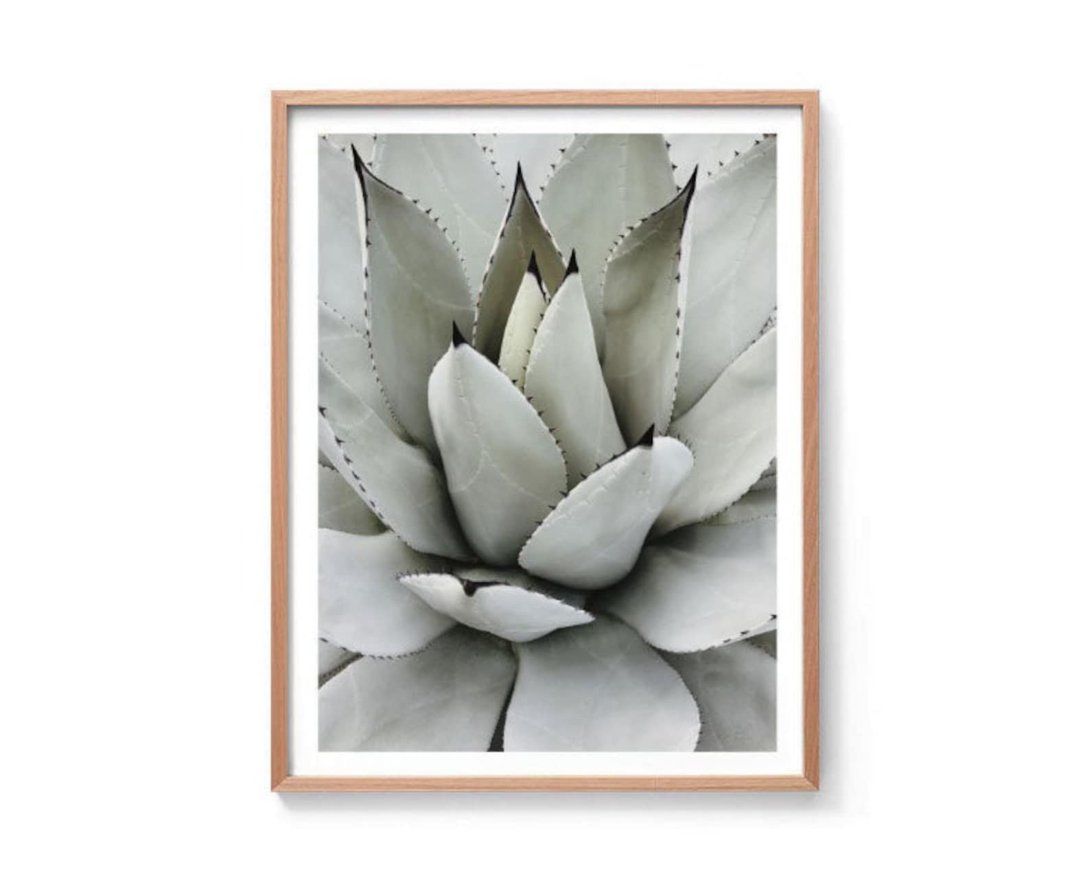Agave Print, Plant Photography Print, Green Agave Poster Print ...