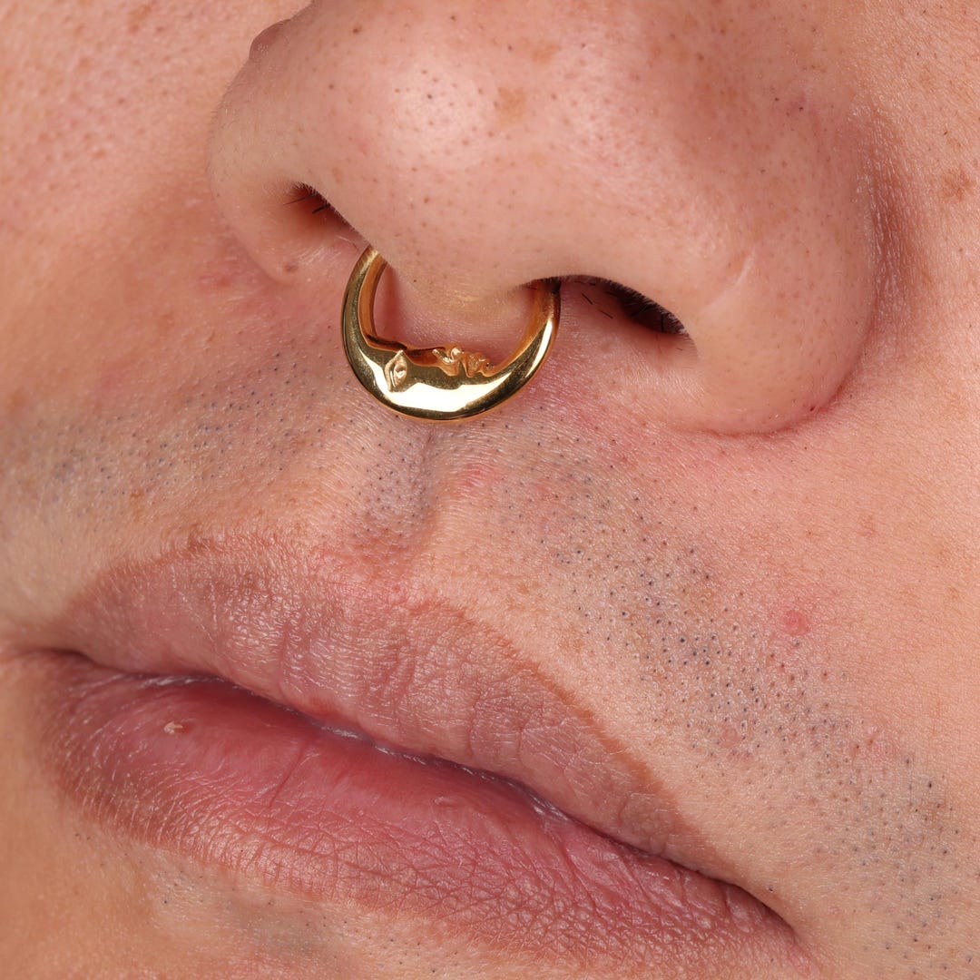 Fashion Design Septum Ring / Punk Septum Ring Jewelry/hinged Septum ...