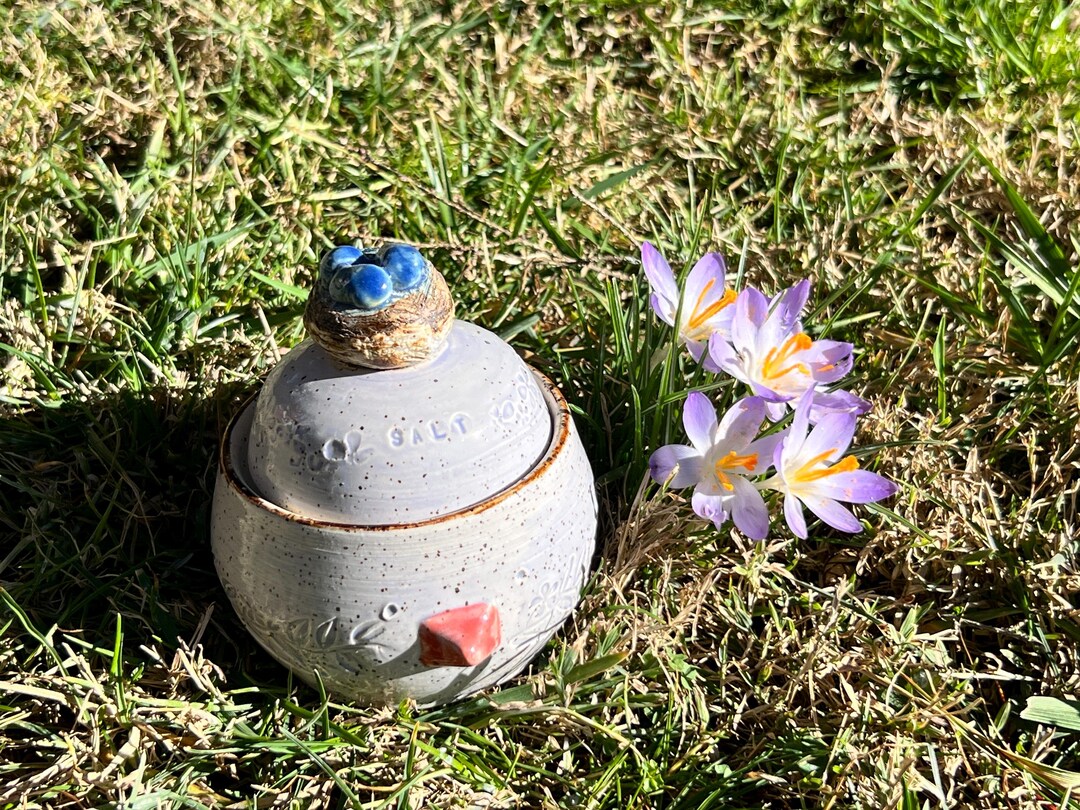 Salt Cellar / Pig, Bird, Garlic Keeper ~ Blue, Lilac, Bird, Nest, Eggs ...