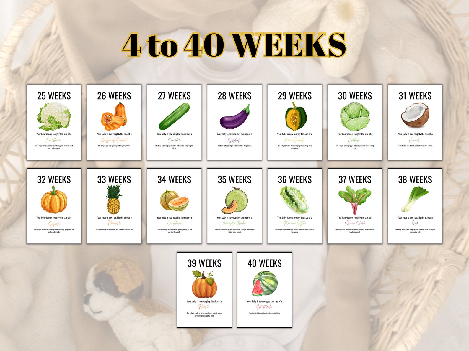 Pregnancy Milestone Bump Comparison Cards, Fruits and Vegetables Fetal ...
