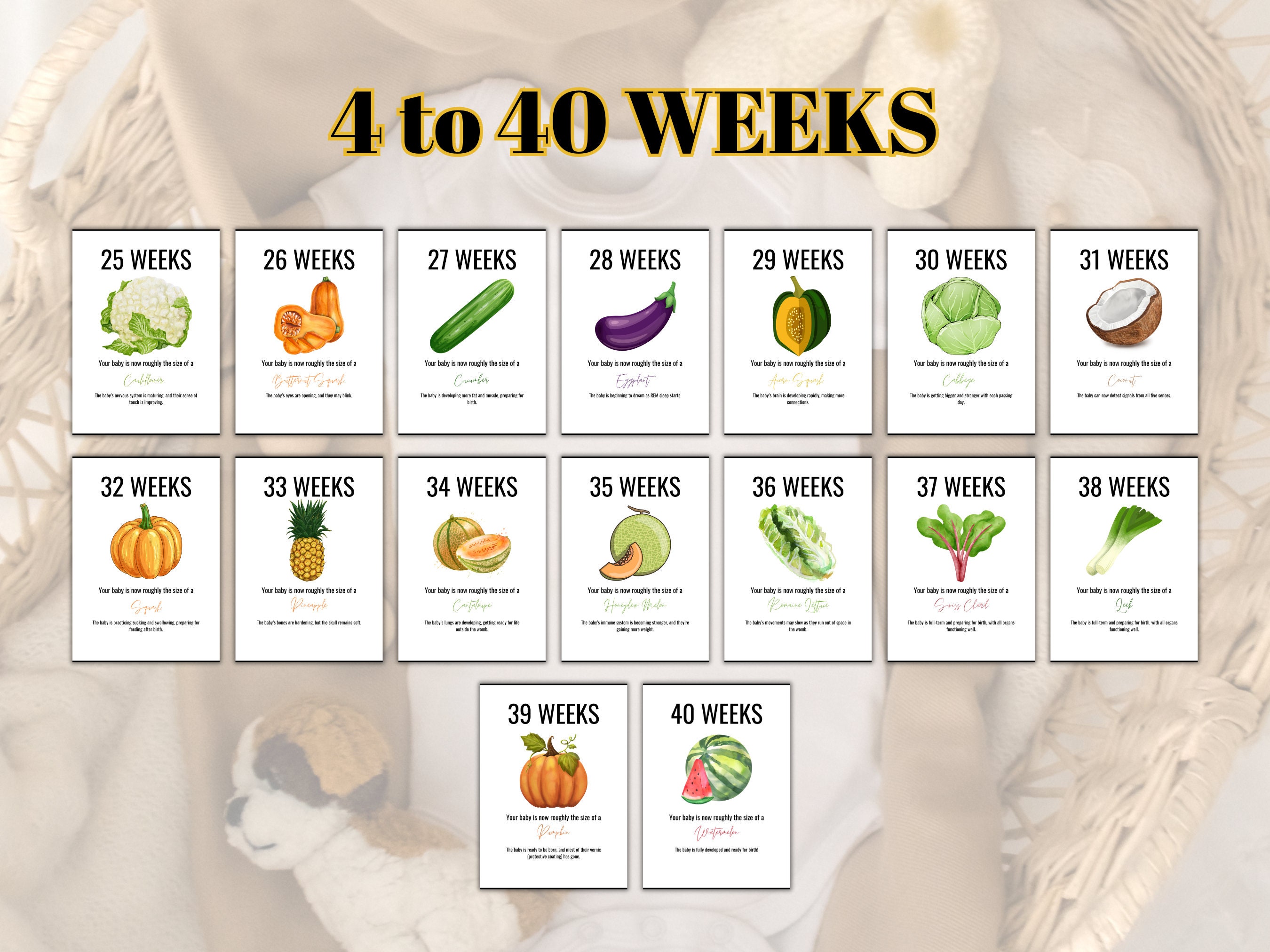 25 Weeks Pregnant Fruit