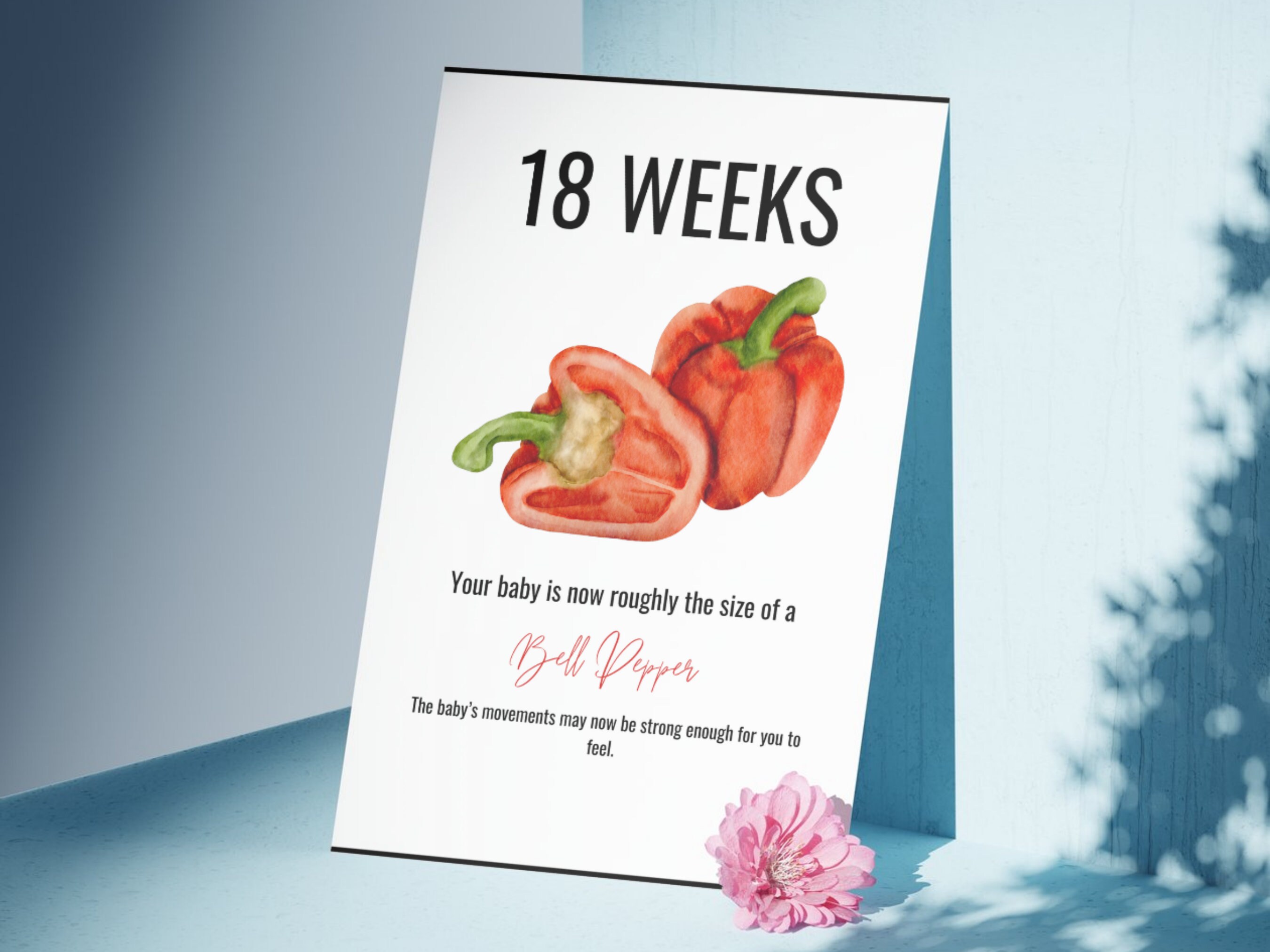 Pregnancy Milestone Bump Comparison Cards, Fruits and Vegetables Fetal ...
