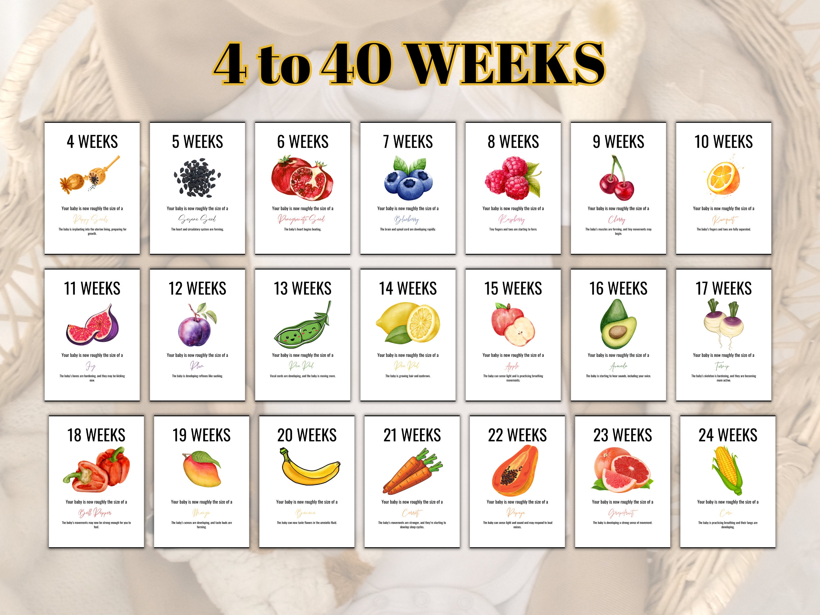 Pregnancy Milestone Bump Comparison Cards, Fruits and Vegetables Fetal ...