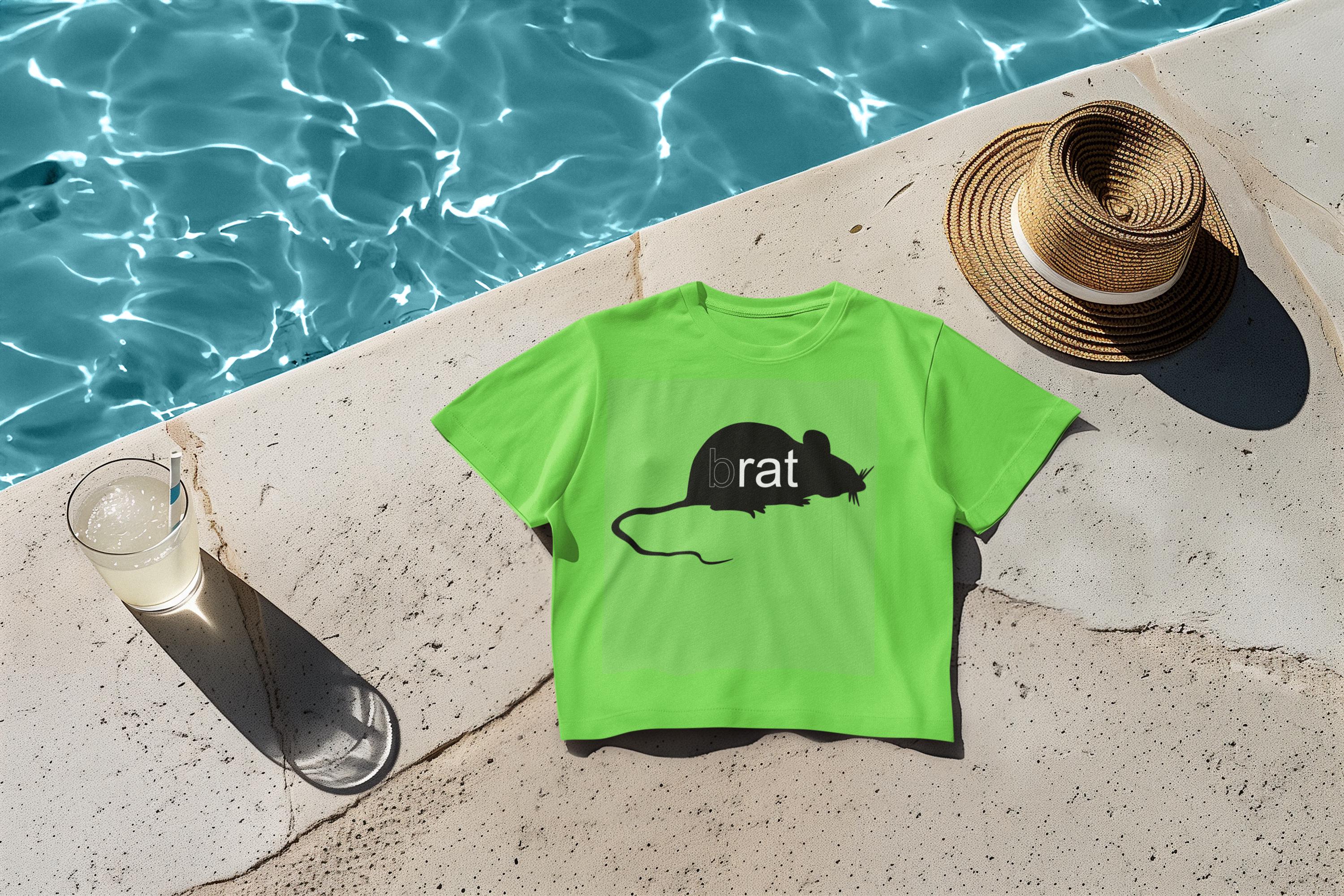 Brat Rat Charli XCX Inspired Crop Tee, Cropped T-shirt Funny Pink Baby ...