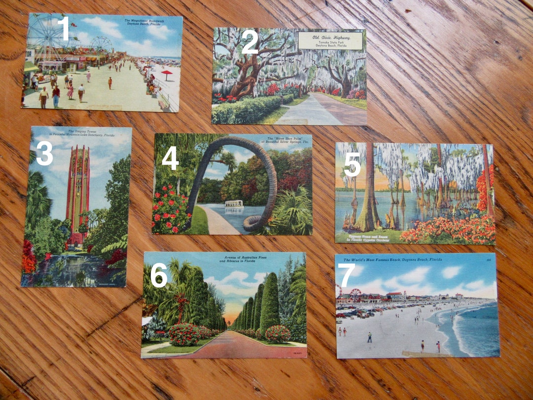 Vintage Florida Postcards, Daytona Beach, Florida Landmarks, Florida ...