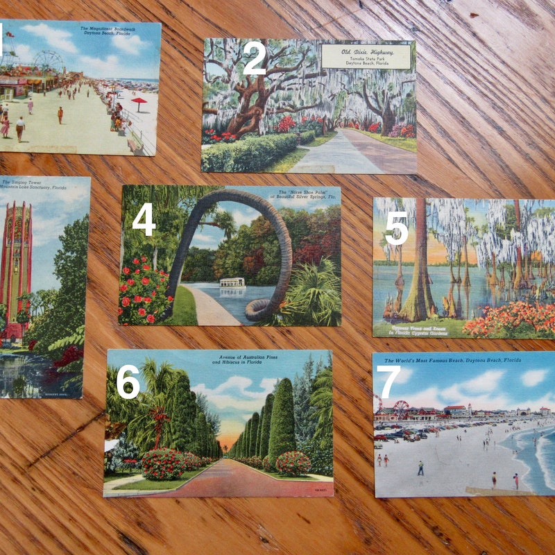 Florida Postcard - Etsy