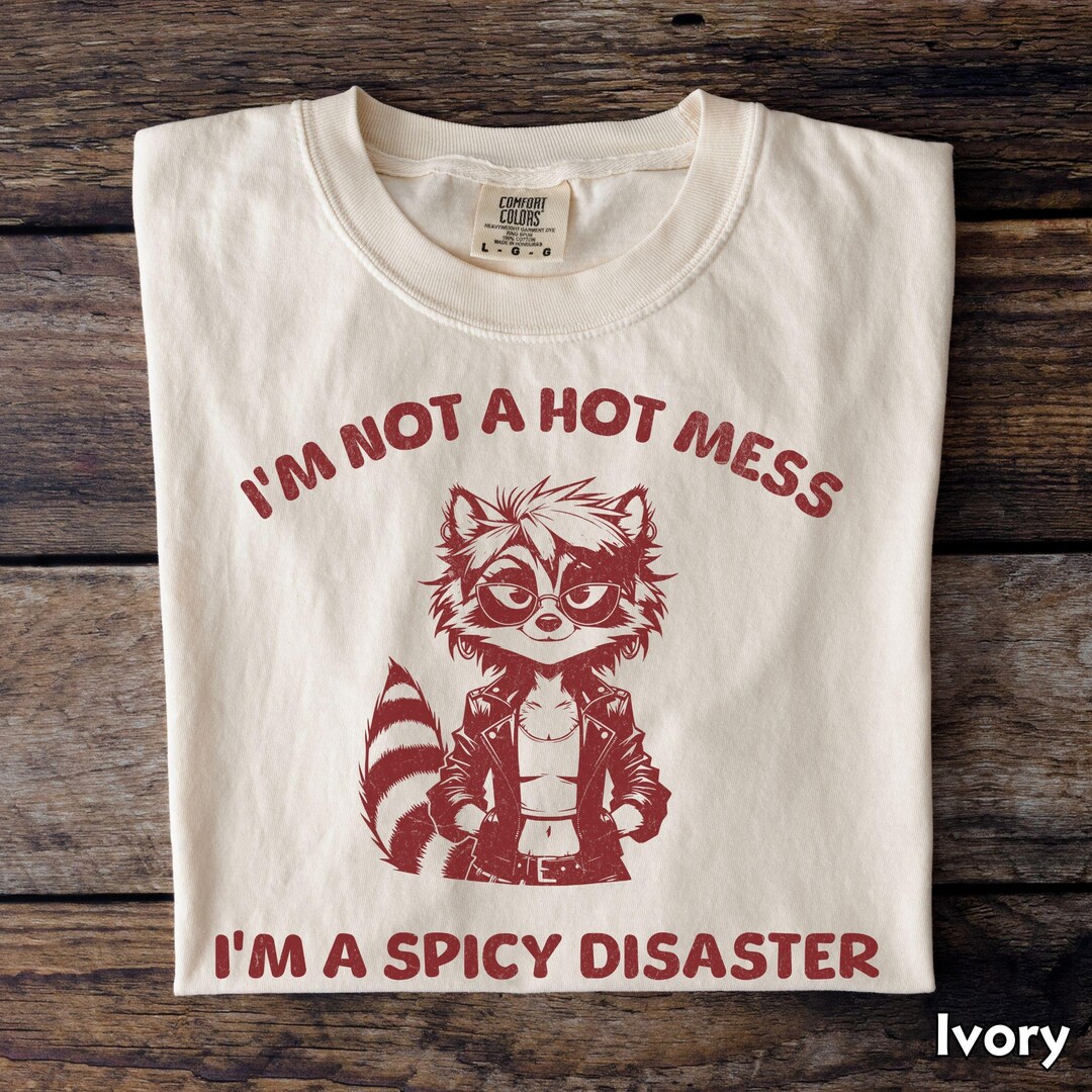 I’m Not a Hot Mess I’m a Spicy Disaster Shirt, Comfort Colors Funny ...