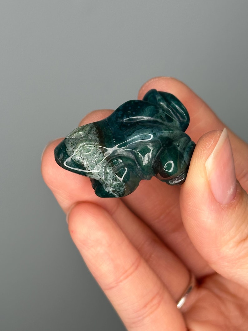 Sea Jasper Frog Carving | Earth-toned Crystal Animal for Joy, Flow ...